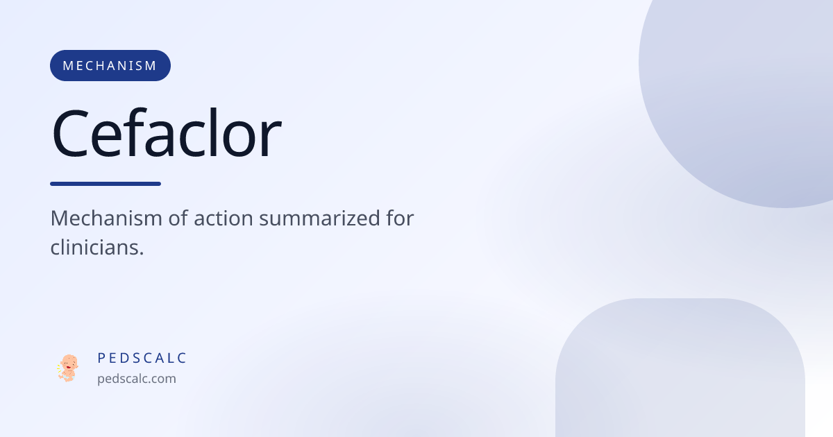 PedsCalc | How Cefaclor Works - Mechanism of Action in Children