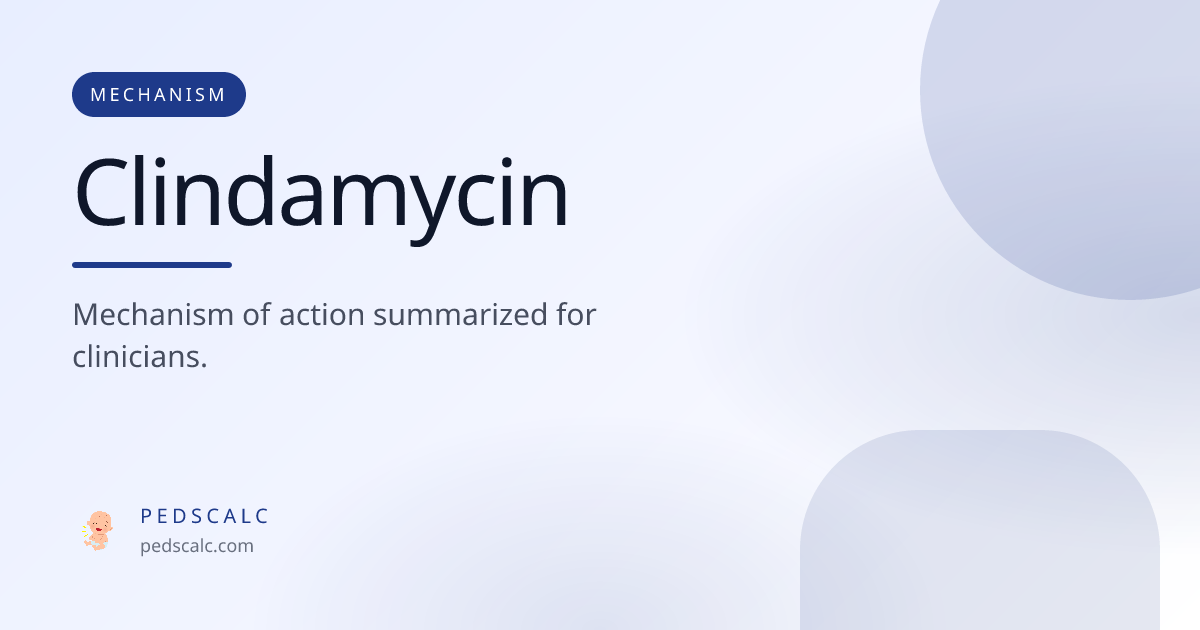 PedsCalc | How Clindamycin Works - Mechanism of Action in Children